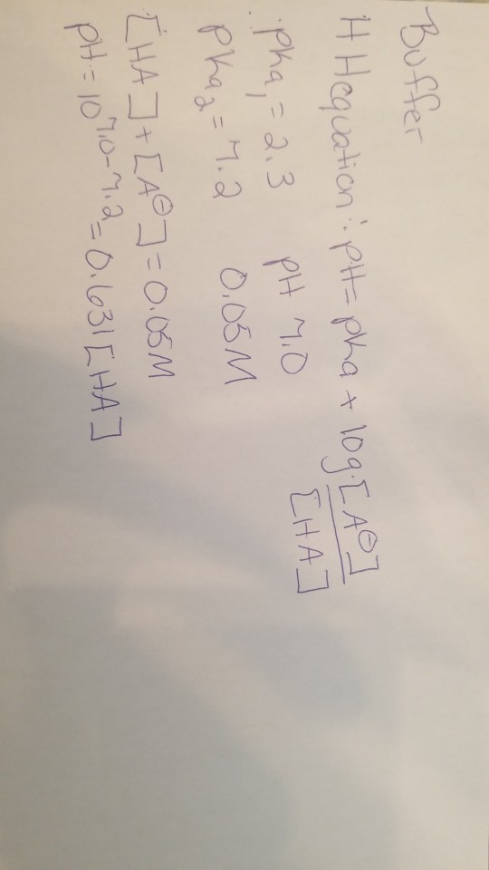 Solved I need help calculating the concentrations for the | Chegg.com