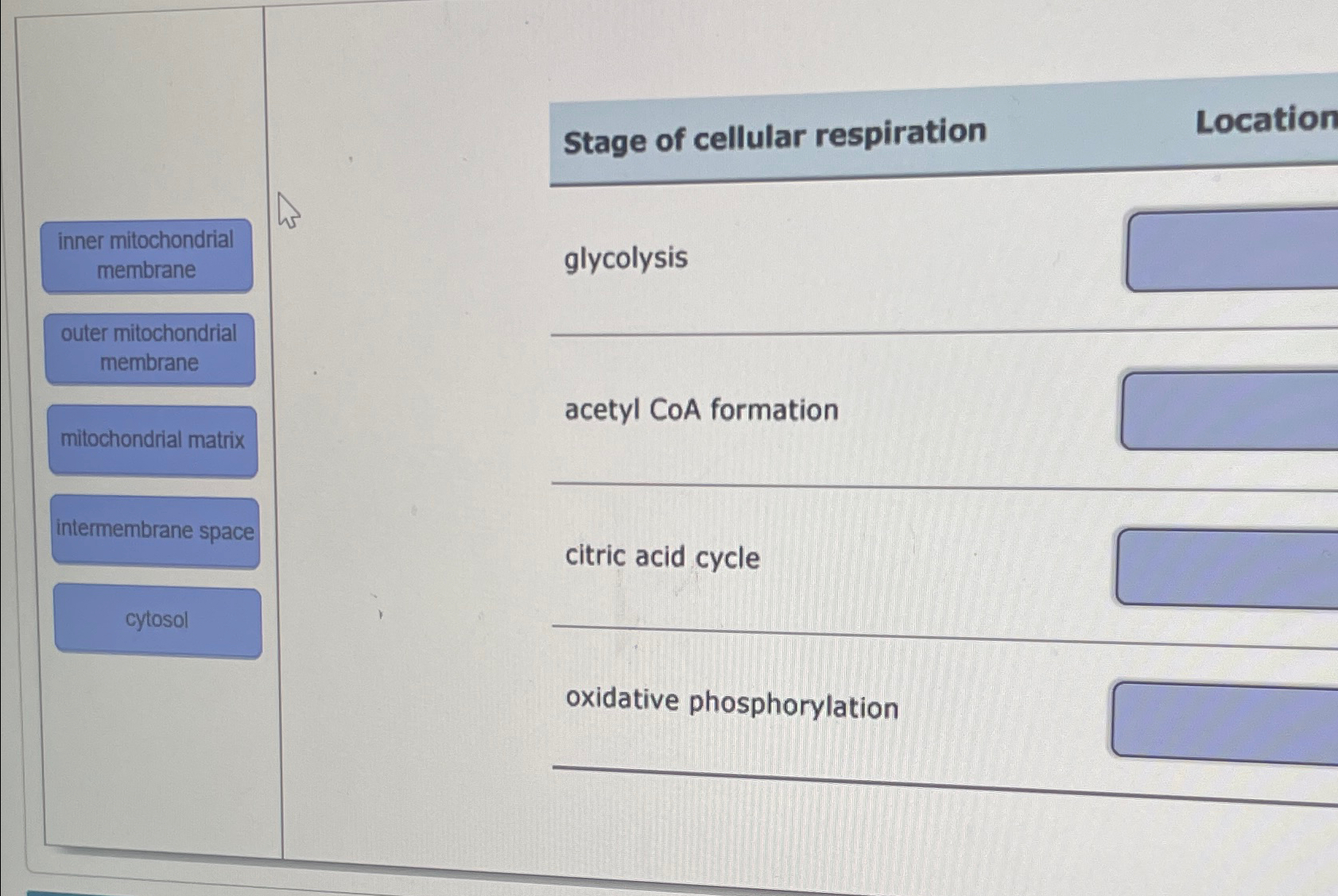 Solved Stage of cellular respirationLocationinner | Chegg.com