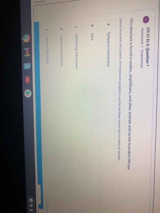 Solved mig CH 31 Ex 3: Question 1 Homework. Unanswered o | Chegg.com