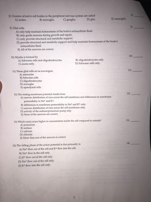Solved 8) Clusters of nerve cell bodies in the peripheral | Chegg.com