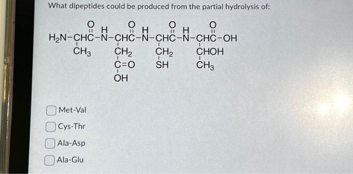 Solved What dipeptides could be produced from the partial | Chegg.com
