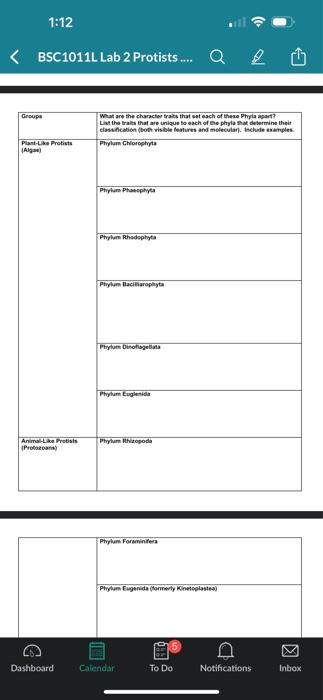 Solved Identify the specialized organelles of the protist, | Chegg.com