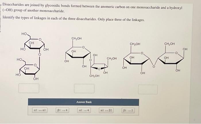Solved Disaccharides are joined by glycosidic bonds formed | Chegg.com