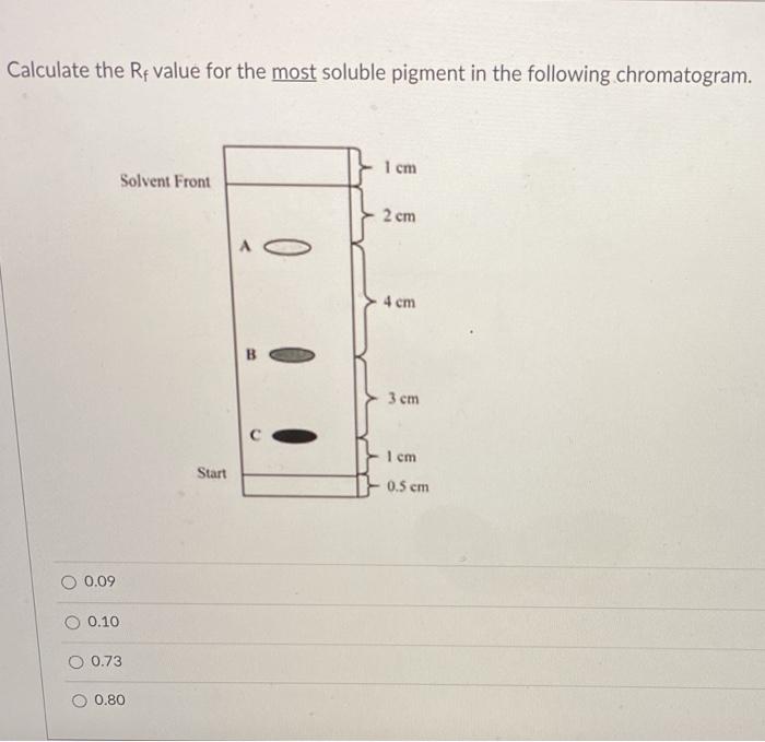 Solved Calculate the Rf value for the most soluble pigment | Chegg.com