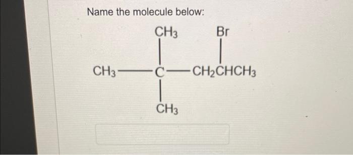 Solved Name the molecule below: CH3 Br + CHOICH CH3 C | Chegg.com