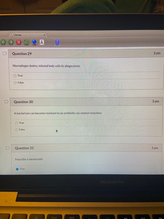 Solved ex 9 A D Question 29 3 pts Macrophages destroy | Chegg.com
