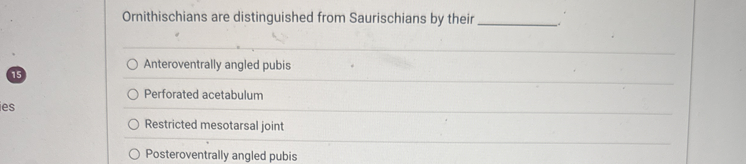Solved Ornithischians are distinguished from Saurischians by | Chegg.com