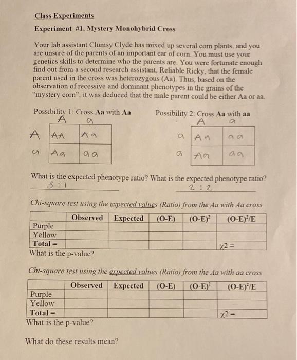 Solved Chi Square FLIES: Using a chi-square formula, | Chegg.com