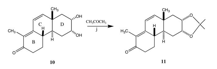 Solved Show the mecanism for the protection of the diol by | Chegg.com