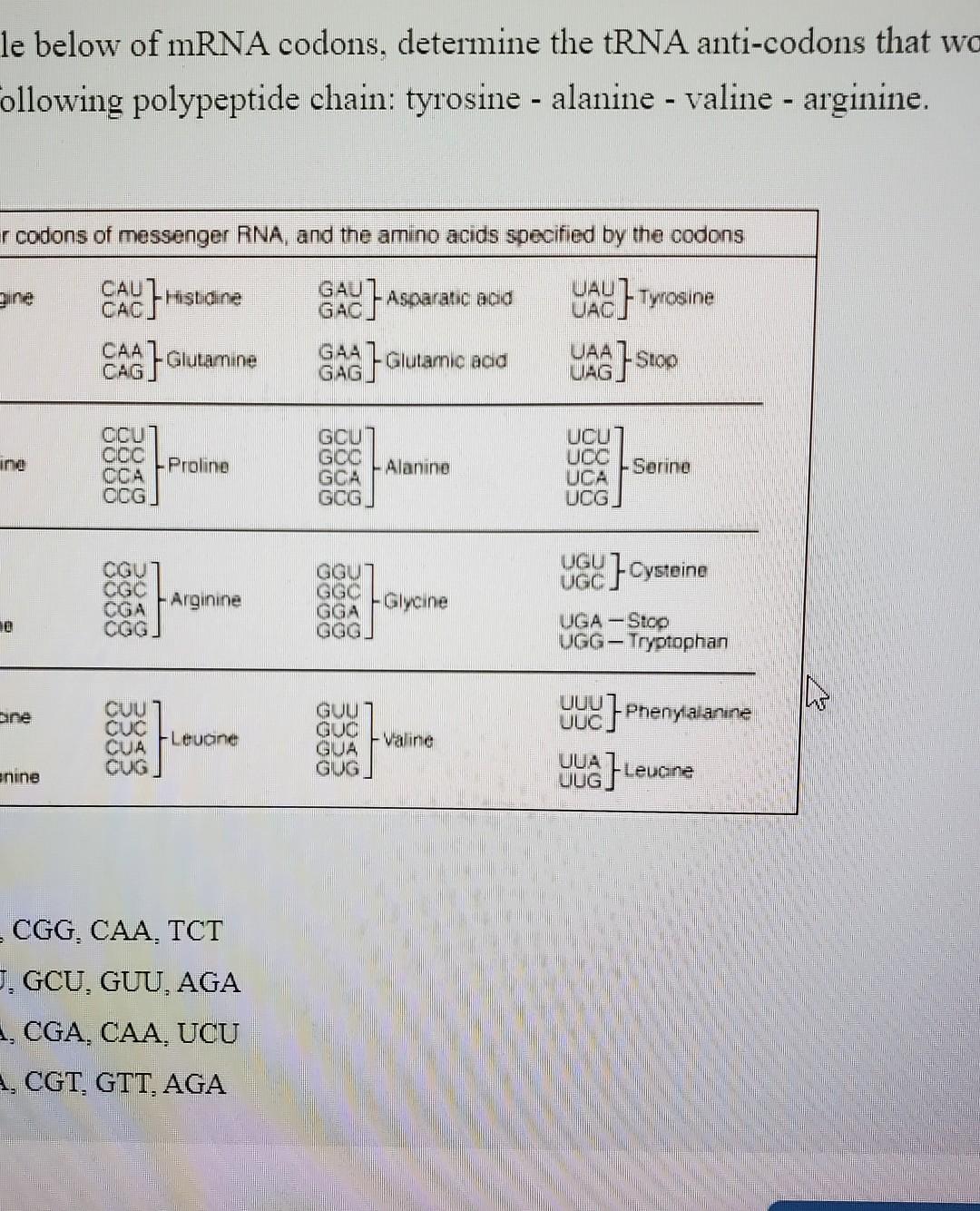 le below of mRNA codons, determine the tRNA | Chegg.com