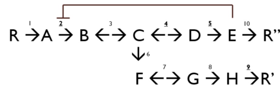 Solved A specific substrate is likely to bind to a | Chegg.com