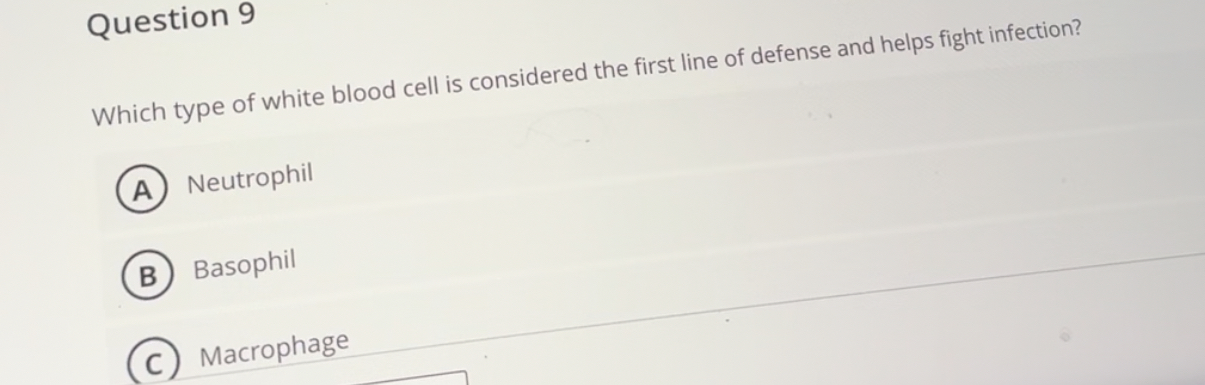 Solved Question 9Which type of white blood cell is | Chegg.com