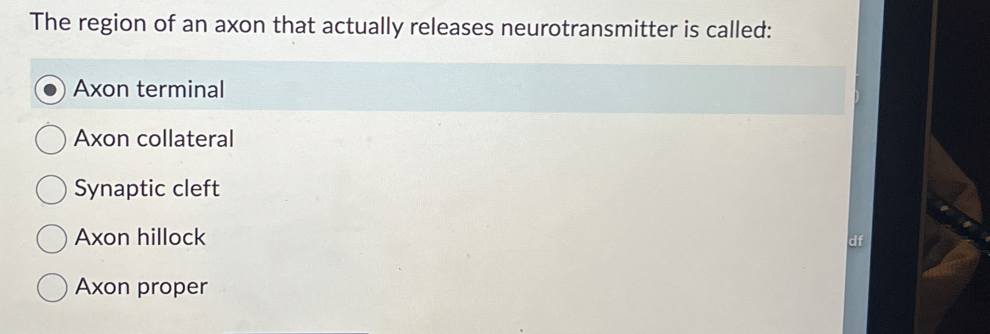 Solved The region of an axon that actually releases | Chegg.com