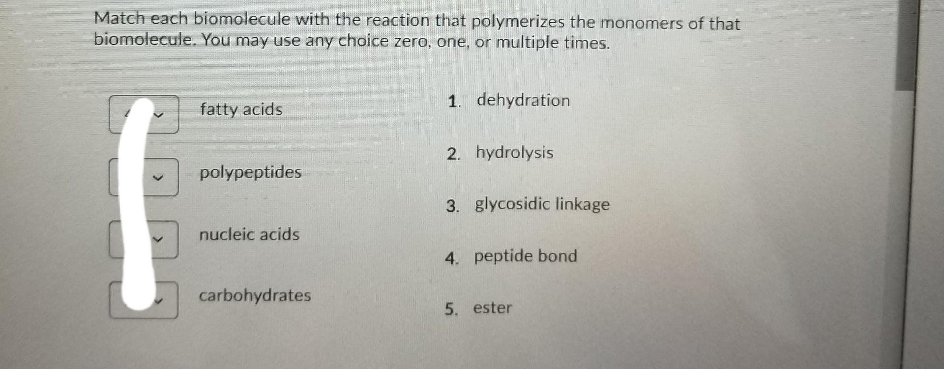 Solved Match each biomolecule with the reaction that | Chegg.com