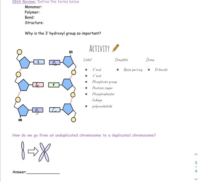 [Solved]: what are these? DNA Review: Define the terms below