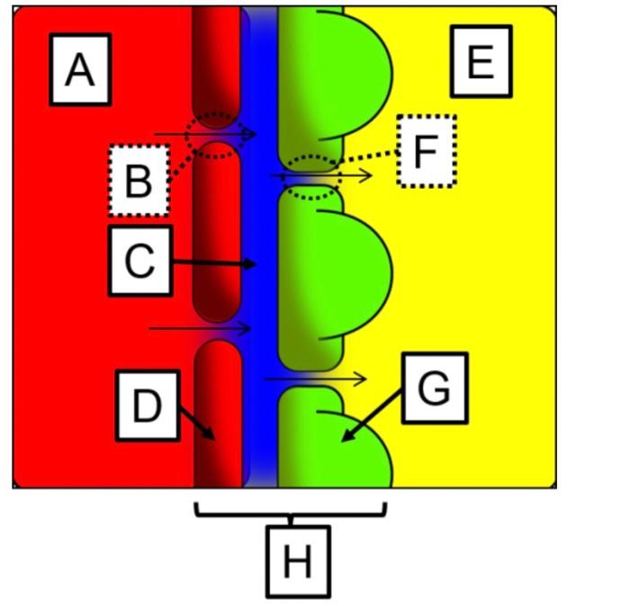 Solved I can not get this question correct and would love | Chegg.com