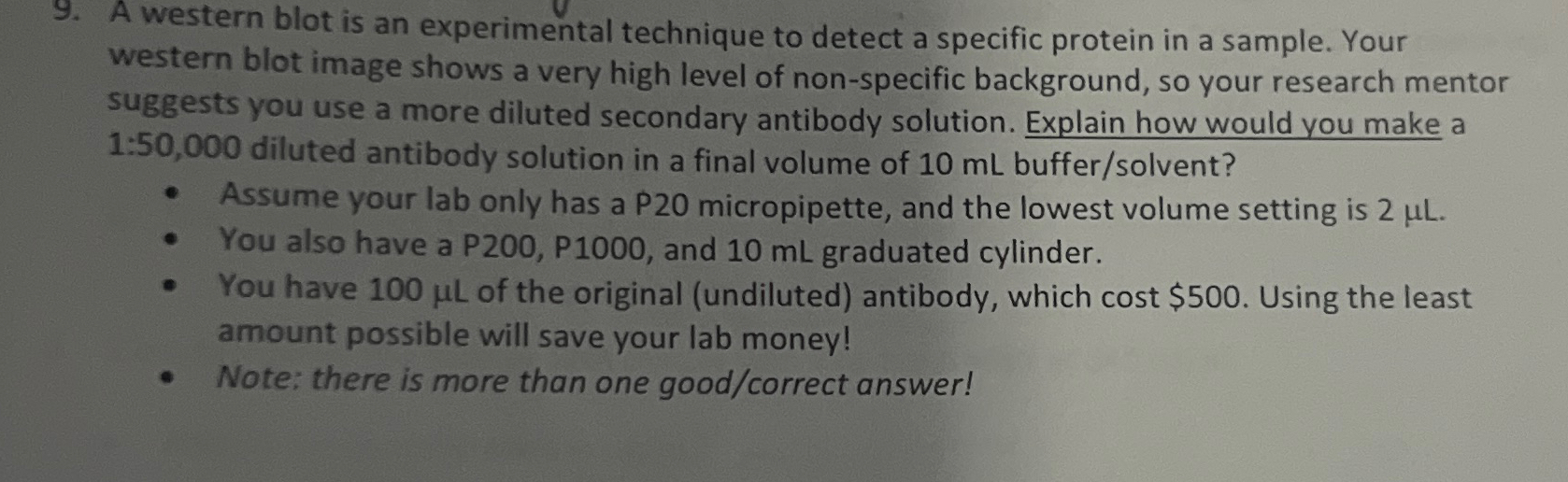Solved A western blot is an experimental technique to detect | Chegg.com