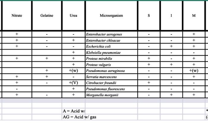 6. Once you have identified the genus of the unknown | Chegg.com