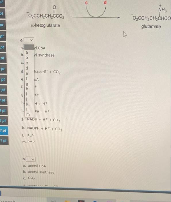 Solved The following two reactions begin catabolism of the | Chegg.com