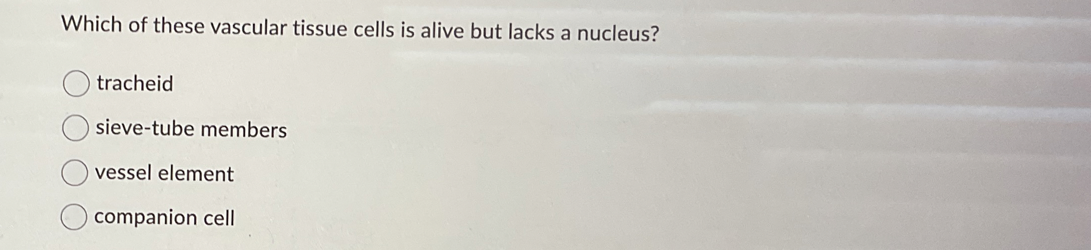Solved Which of these vascular tissue cells is alive but | Chegg.com