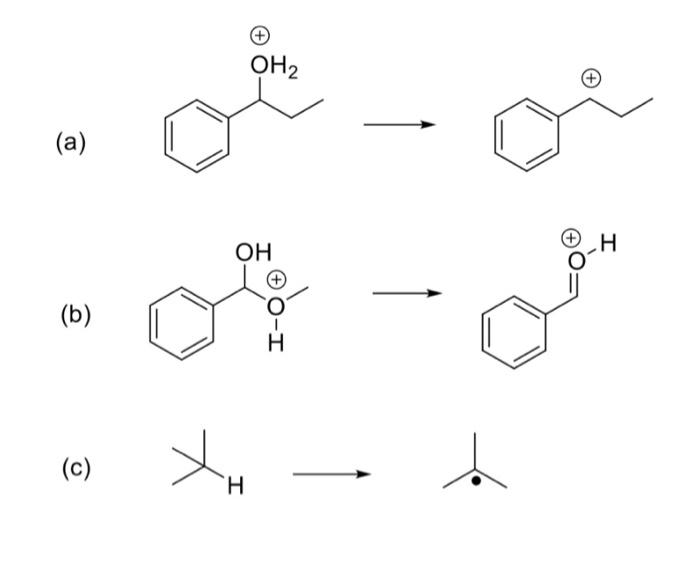 Solved ⊕ | Chegg.com