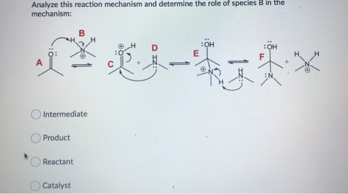 Solved Analyze this reaction mechanism and identify all | Chegg.com
