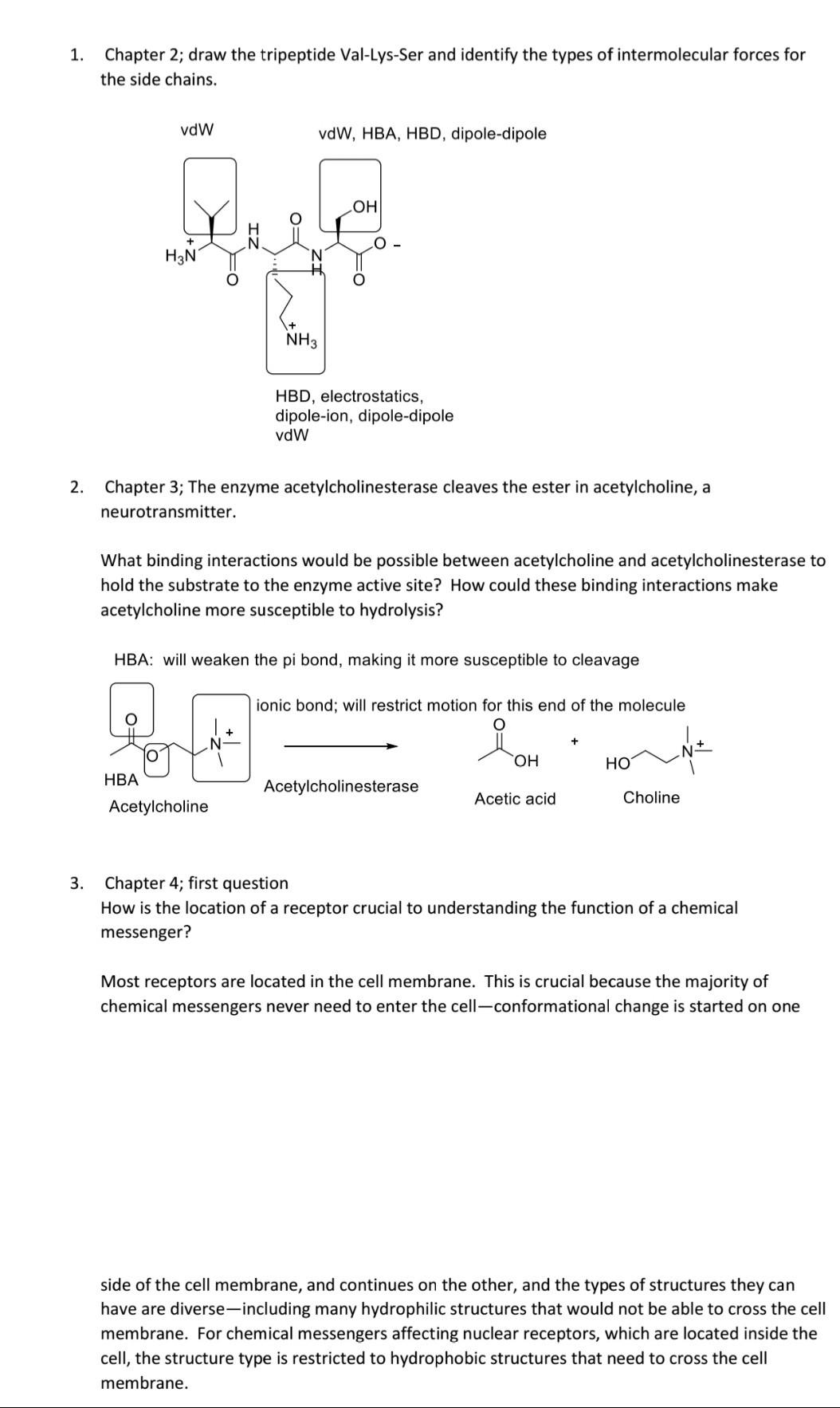 Solved 1. Chapter 2; draw the tripeptide Val-Lys-Ser and | Chegg.com