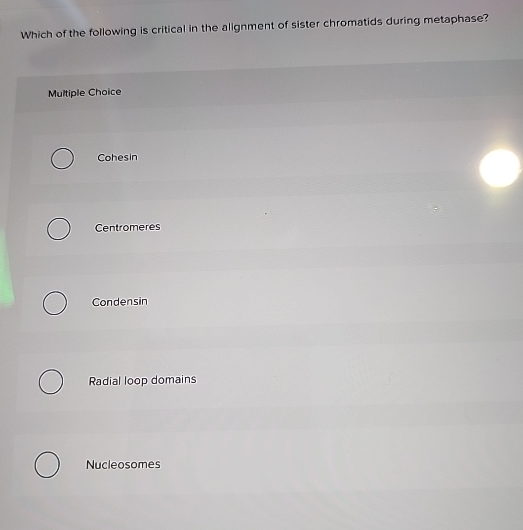 Solved Which of the following is critical in the alignment | Chegg.com