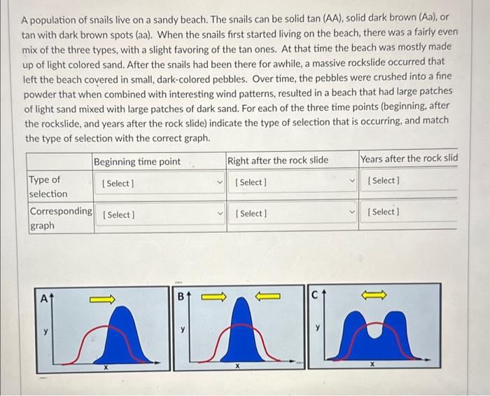 Solved A population of snails live on a sandy beach. The | Chegg.com
