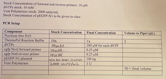 Solved Stock Concentration of forward and reverse primers: | Chegg.com
