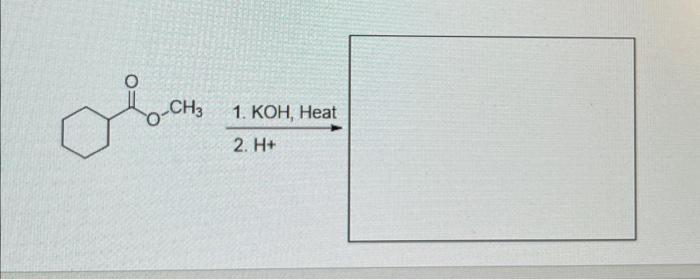 Solved 1. KOH, Heat Assign a chemical structure to the | Chegg.com