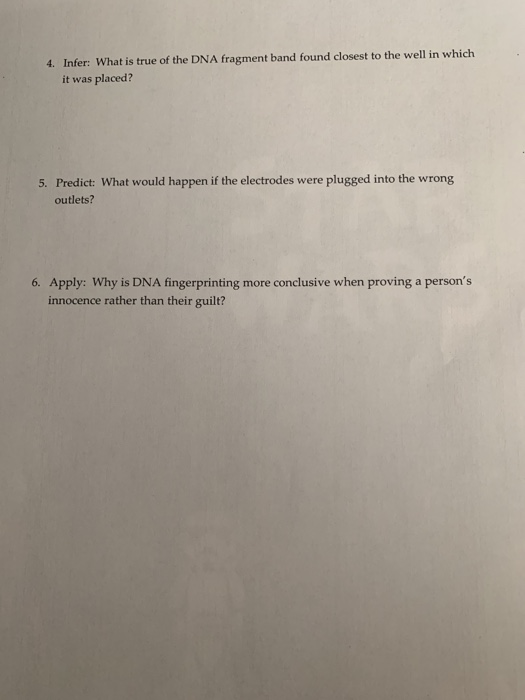 Solved DNA Gel Electrophoresis Lab Worksheet Date Name | Chegg.com