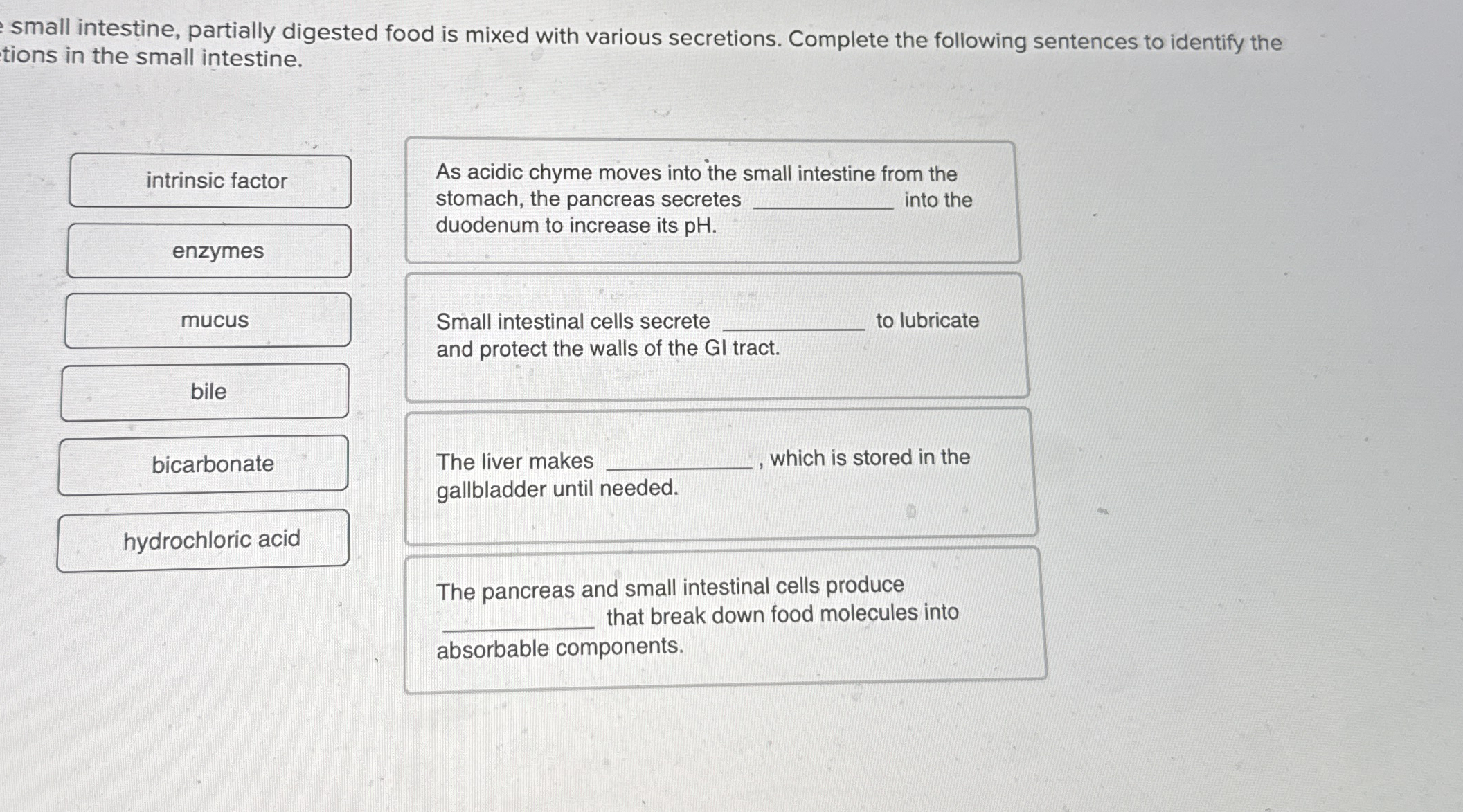 Solved small intestine, partially digested food is mixed | Chegg.com