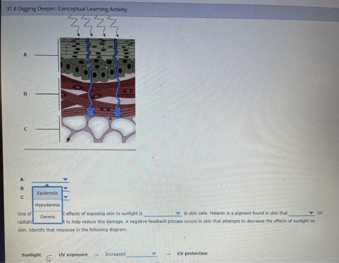 Solved 31.8 Digging Deeper: Conceptual Learning Activity 1. | Chegg.com