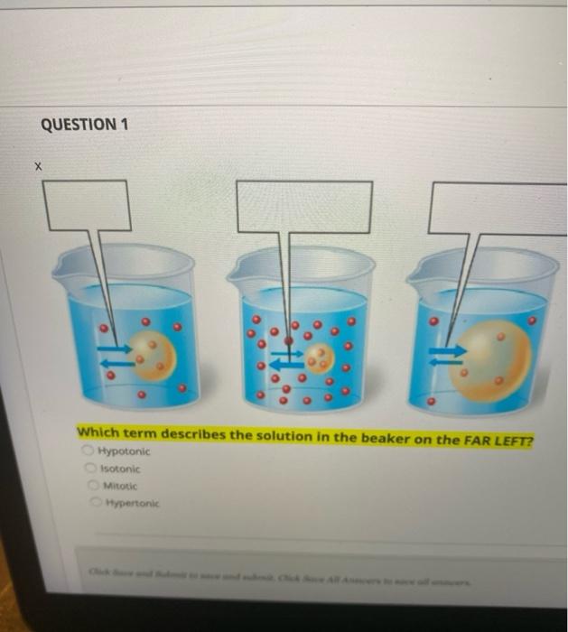 Solved QUESTION 1 х flo Which term describes the solution in | Chegg.com