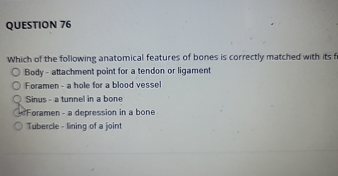 Solved QUESTION 76Which of the following anatomical features | Chegg.com