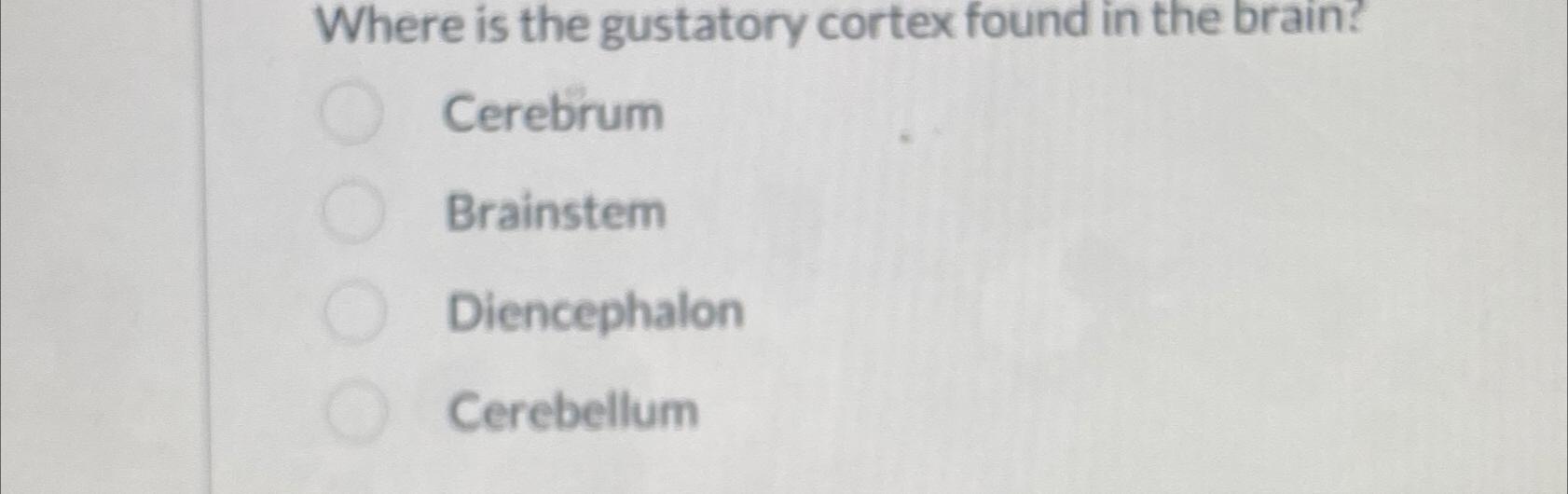 Solved Where is the gustatory cortex found in the | Chegg.com