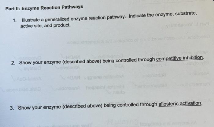 Solved Part II: Enzyme Reaction Pathways 1. Illustrate a | Chegg.com