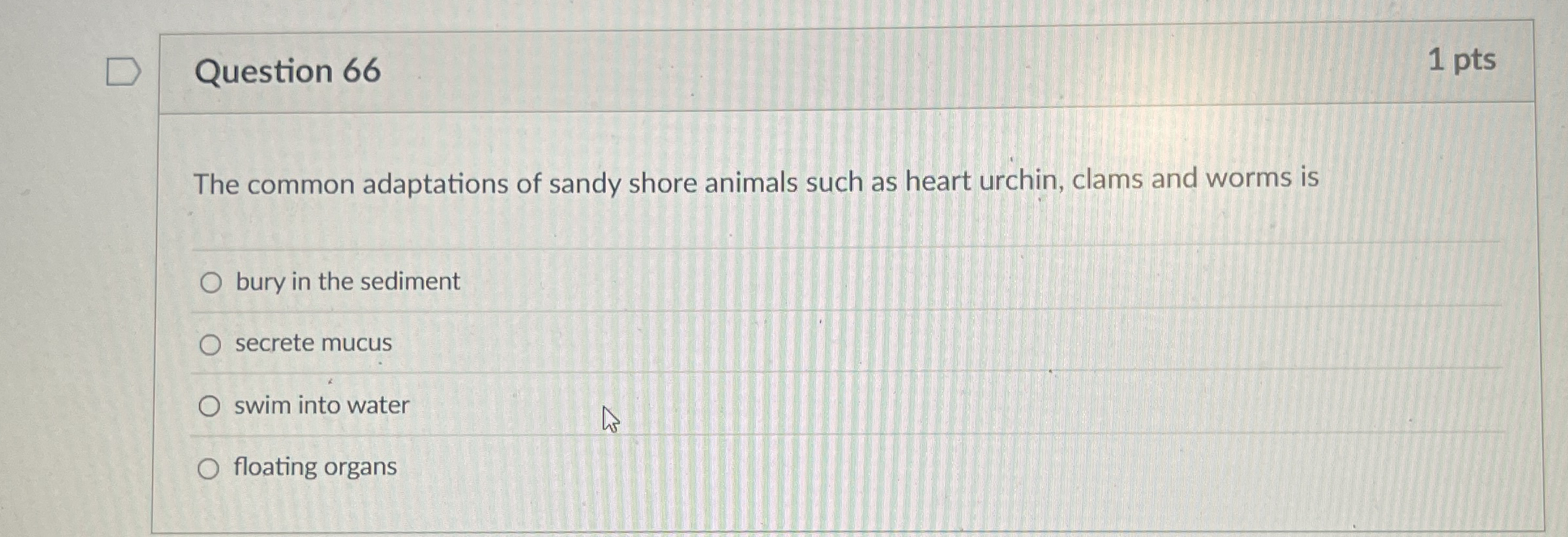 Solved Question 661 ﻿ptsThe common adaptations of sandy | Chegg.com