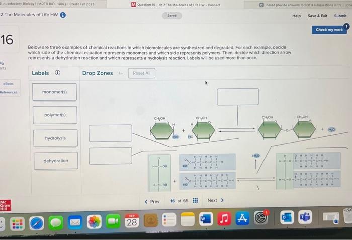 Solved Below are three examples of chemical reactions in | Chegg.com