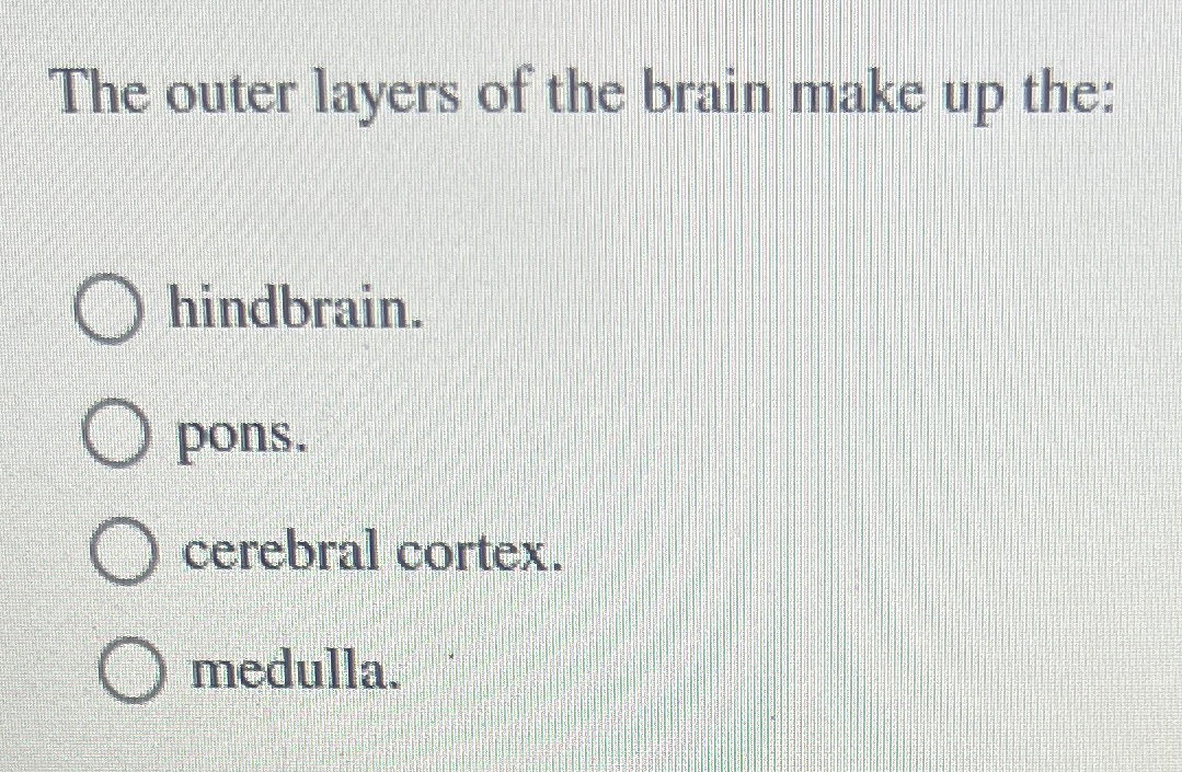 Solved The outer layers of the brain make up | Chegg.com