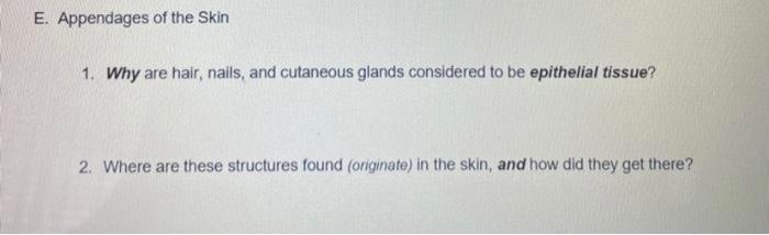 Solved E. Appendages of the Skin 1. Why are hair, nails, and | Chegg.com