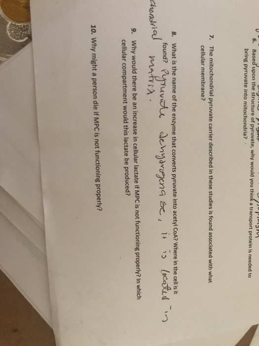 Solved V Opt 7 Pm 6 Based Upon The Structure Of Pyruvate