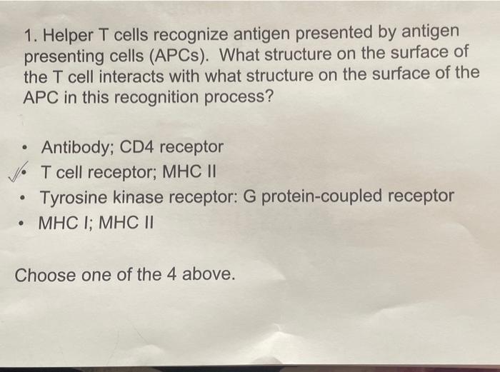 Solved 1. Helper T cells recognize antigen presented by | Chegg.com