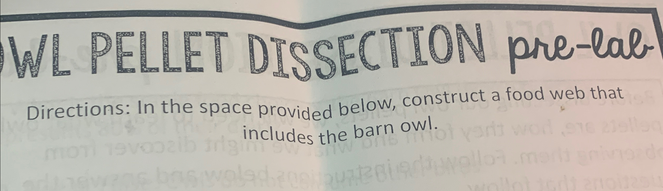 Solved Directions: In the space provided below, construct a | Chegg.com