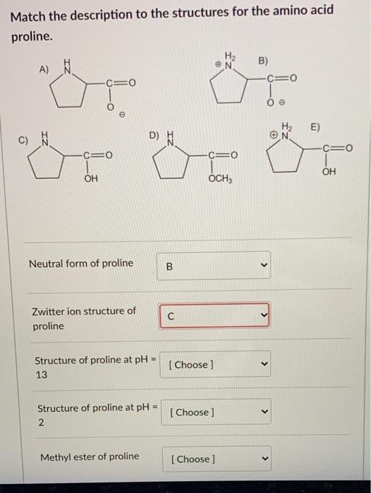 Solved Match the description to the structures for the amino | Chegg.com