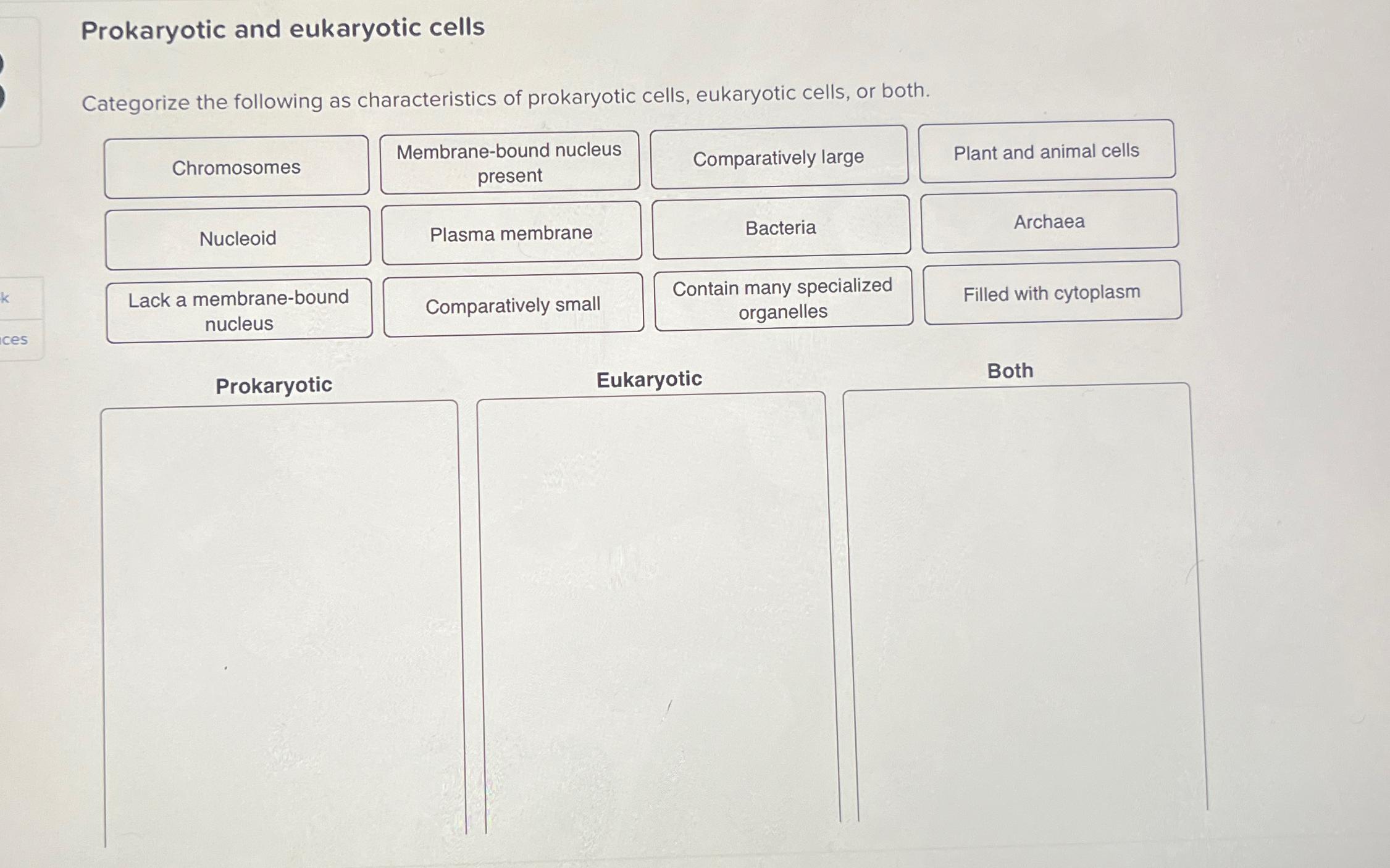 Solved Prokaryotic and eukaryotic cellsCategorize the | Chegg.com
