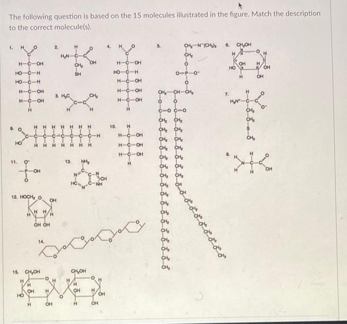 Solved The following question is based on the 15 molecules | Chegg.com Solved The following question is based on the 15 molecules | Chegg.com
