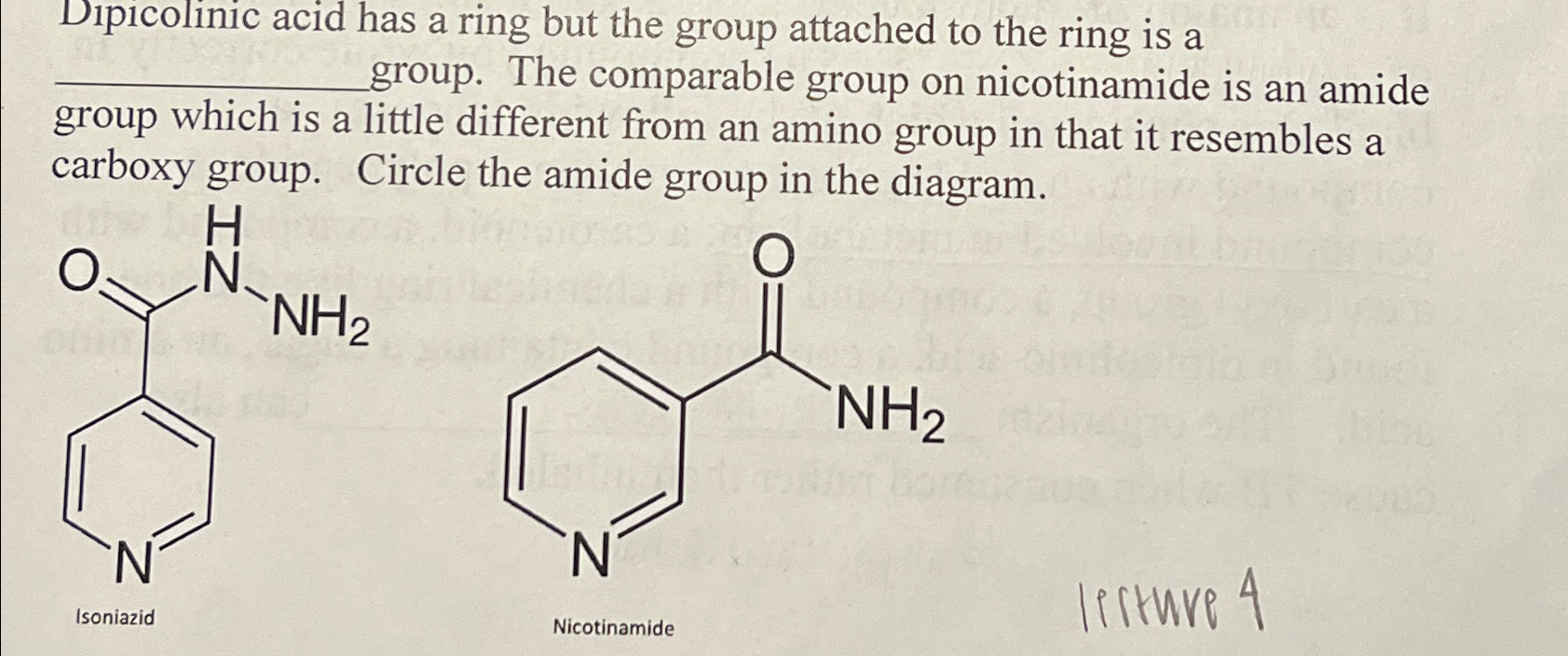 Solved Dipicolinic acid has a ring but the group attached to | Chegg.com