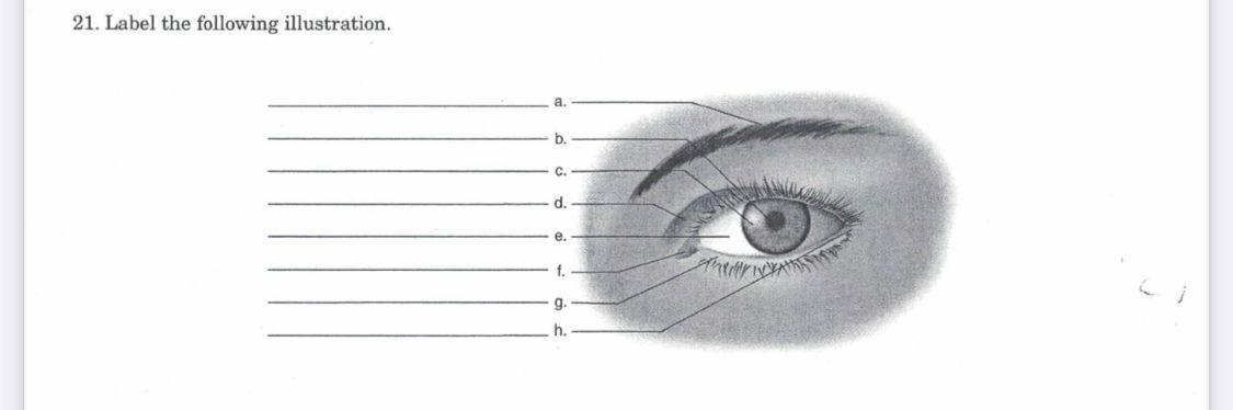 Solved Label the following illustration.a.b.c.d.e. | Chegg.com